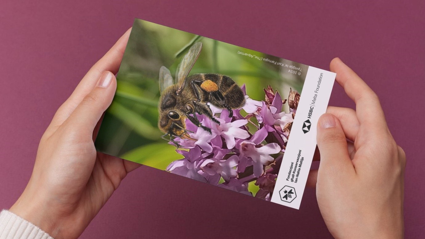 HSBC Malta Foundation raises awareness for the conservation of the ...